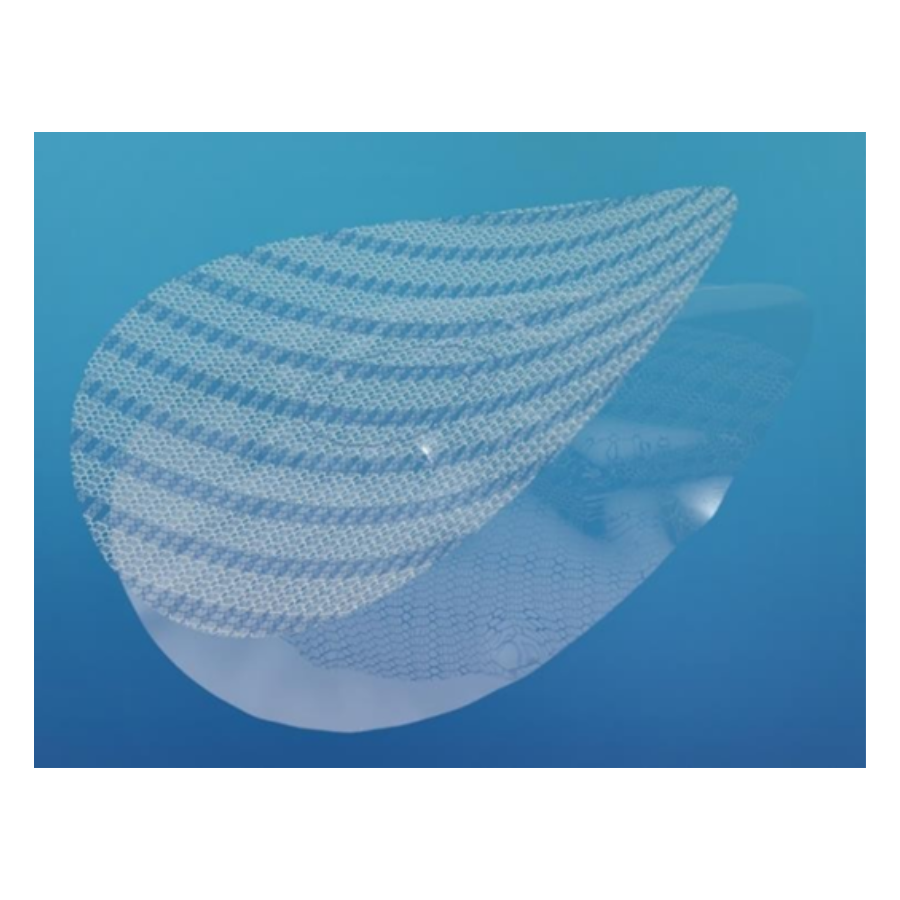 2P-FlaPp ClearMesh Composite